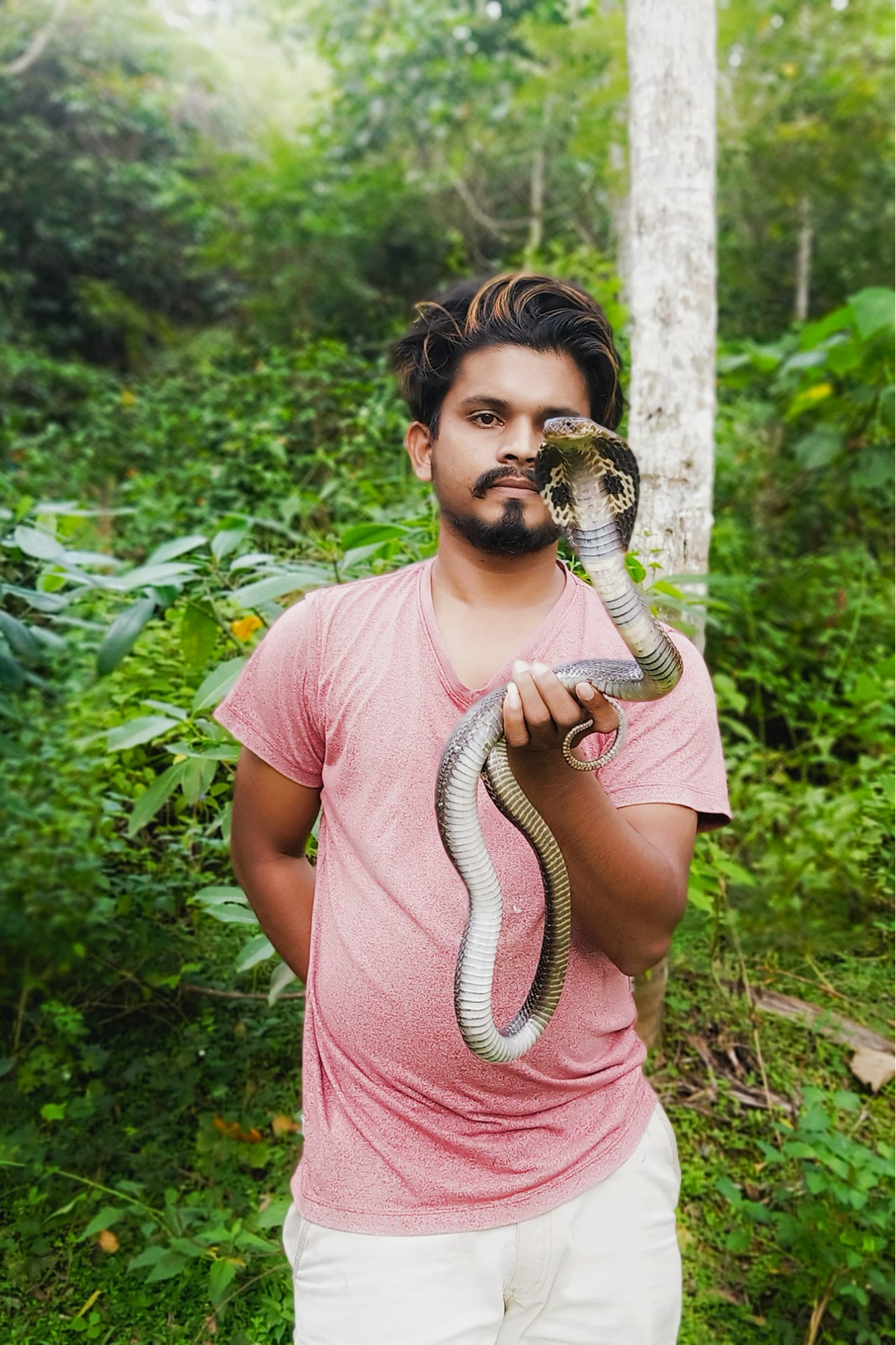 Snake Protectors Sri Lanka – A volunteer non-profit service to rescue ...