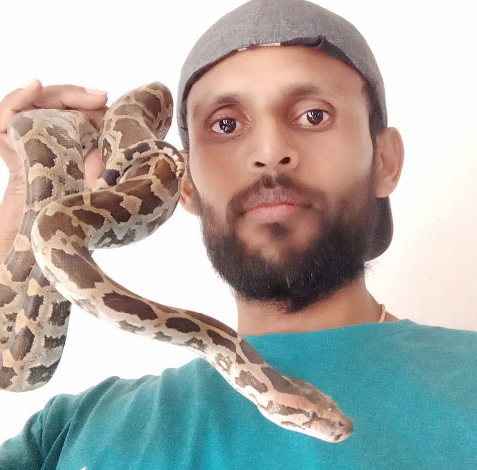 Snake Protectors Sri Lanka – A volunteer non-profit service to rescue ...